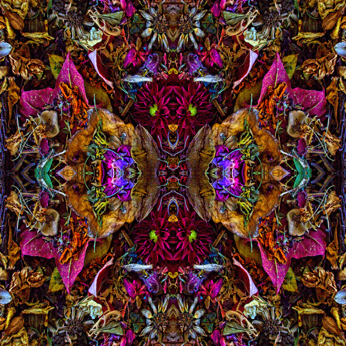 Order/Disorder: Stephen Calhoun, Psych Artist – Pow Magazine