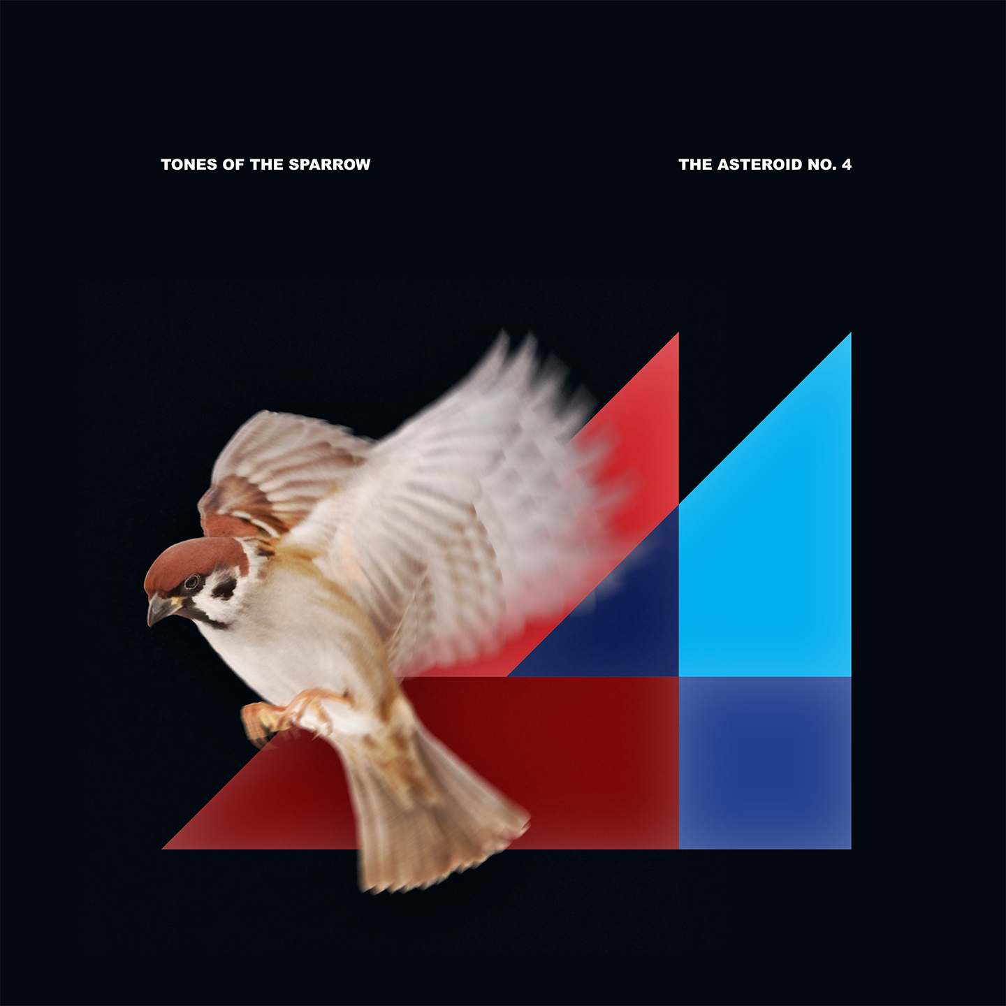 Asteroid No. 4 Tones Of The Sparrow Is Triumphant – Pow Magazine